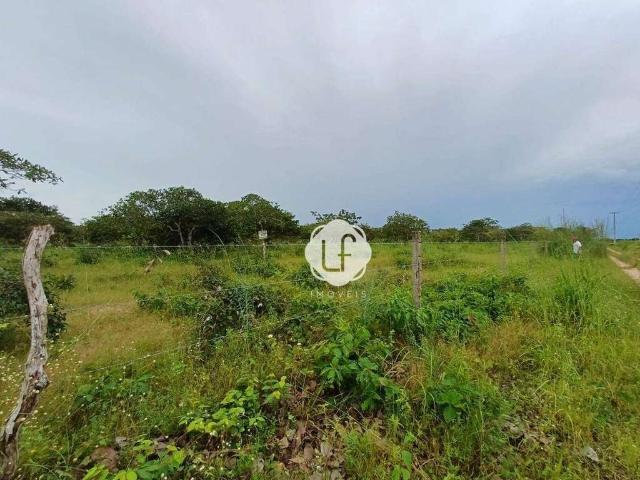 Terreno comercial para Venda em Cruz/CE Preá