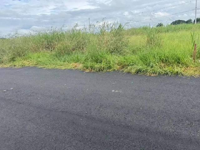 Terreno comercial para Venda em Engenheiro Coelho/SP Residencial Monet