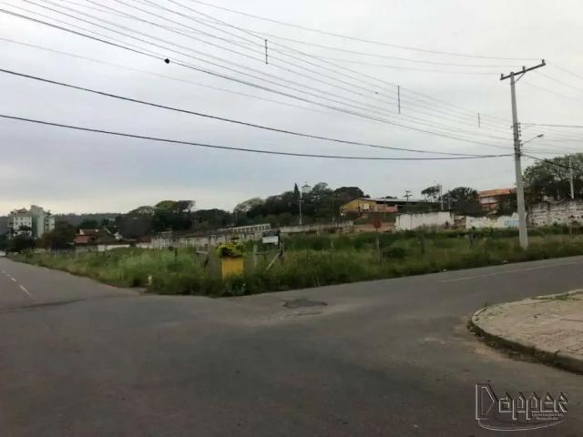Terreno comercial para Venda em Estância Velha/RS Centro