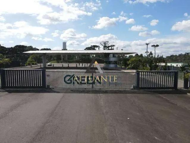 Terreno comercial para Venda em Farroupilha/RS Industrial