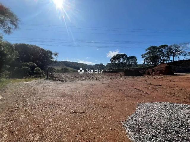 Terreno comercial para Venda em Farroupilha/RS Nova Sardenha Distrito