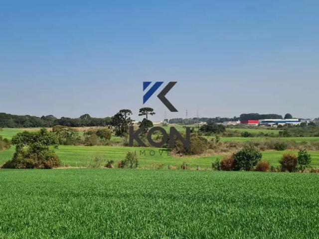 Terreno comercial para Venda em Fazenda Rio Grande/PR Eucaliptos