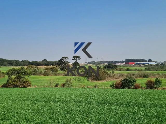 Terreno comercial para Venda em Fazenda Rio Grande/PR Eucaliptos