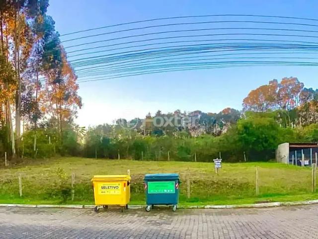 Terreno comercial para Venda em Flores da Cunha/RS São Gotardo Distrito
