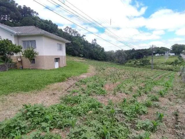 Terreno comercial para Venda em Flores da Cunha/RS Zona Rural