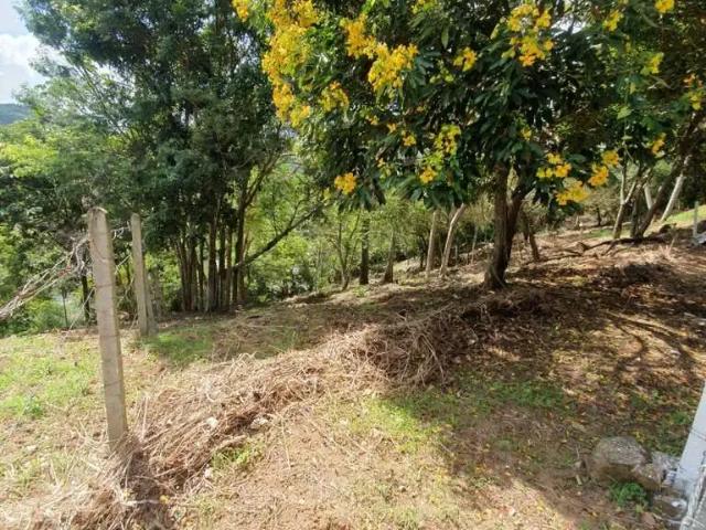 Terreno comercial para Venda em Florianópolis/SC Cachoeira do Bom Jesus