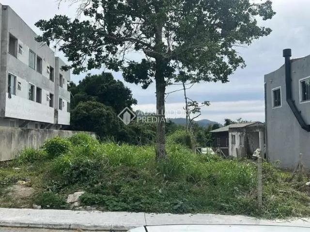 Terreno comercial para Venda em Florianópolis/SC Ingleses do Rio Vermelho