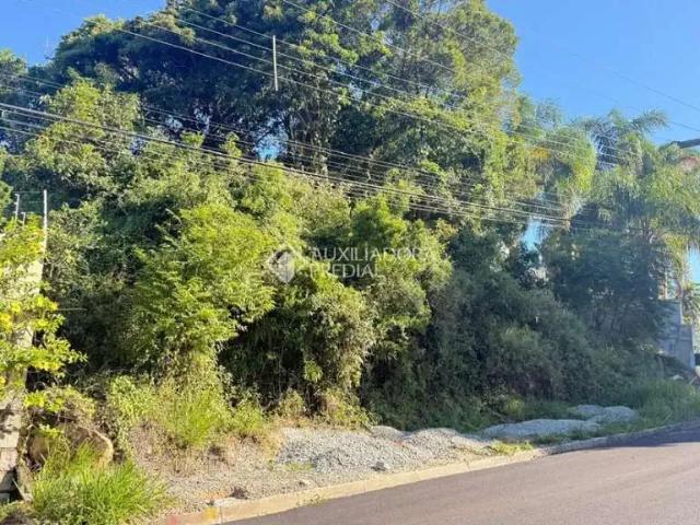 Terreno comercial para Venda em Florianópolis/SC João Paulo