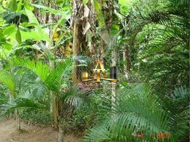 Terreno comercial para Venda em Guarujá/SP Barra Funda