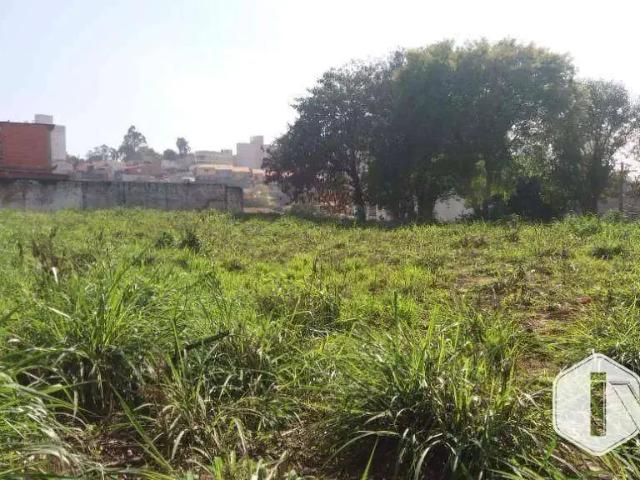 Terreno comercial para Venda em Guarulhos/SP Vila Rosália