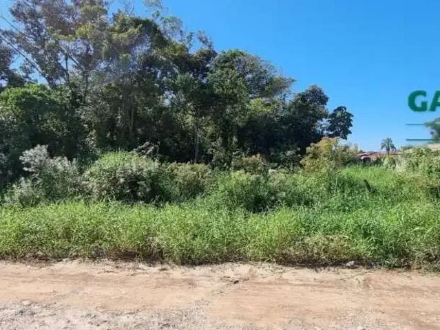 Terreno comercial para Venda em Guaratuba/PR Balneário Eliane