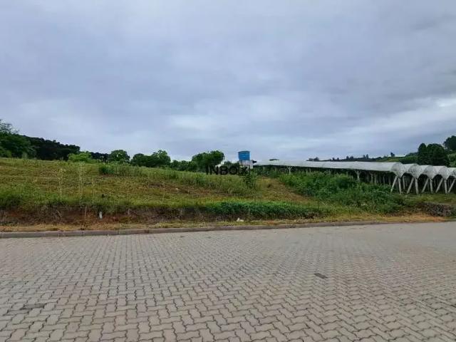 Terreno comercial para Venda em Garibaldi/RS Garibaldina