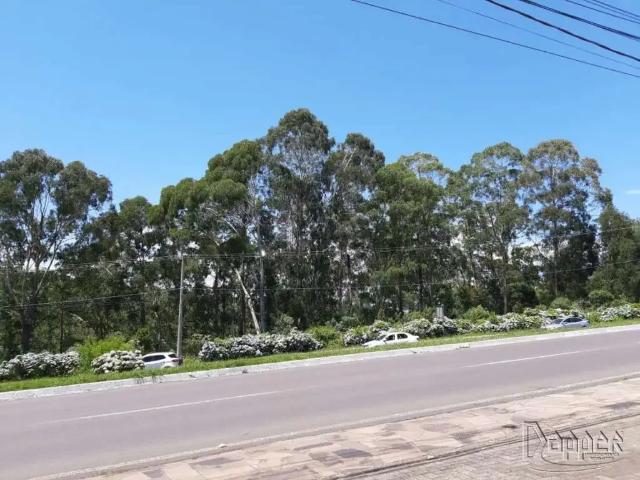 Terreno comercial para Venda em Gramado/RS Avenida Central