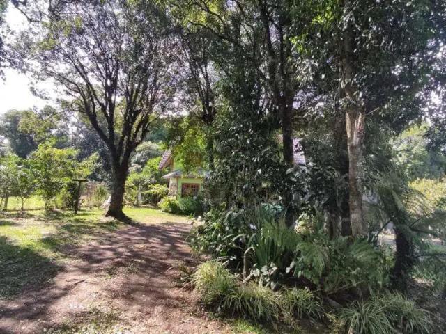 Terreno comercial para Venda em Gramado/RS Carniel
