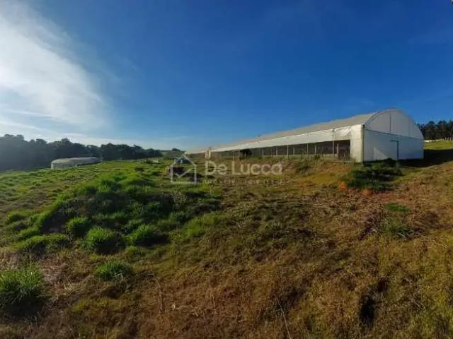 Terreno comercial para Venda em Holambra/SP Centro