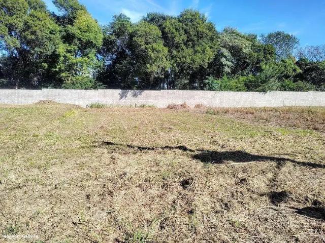 Terreno comercial para Venda em Holambra/SP Girassois de Holanda
