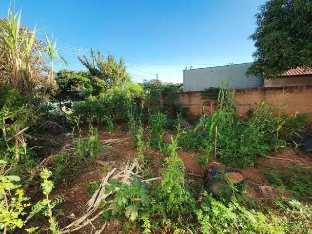 Terreno comercial para Venda em Holambra/SP Parque Residencial Imigrantes