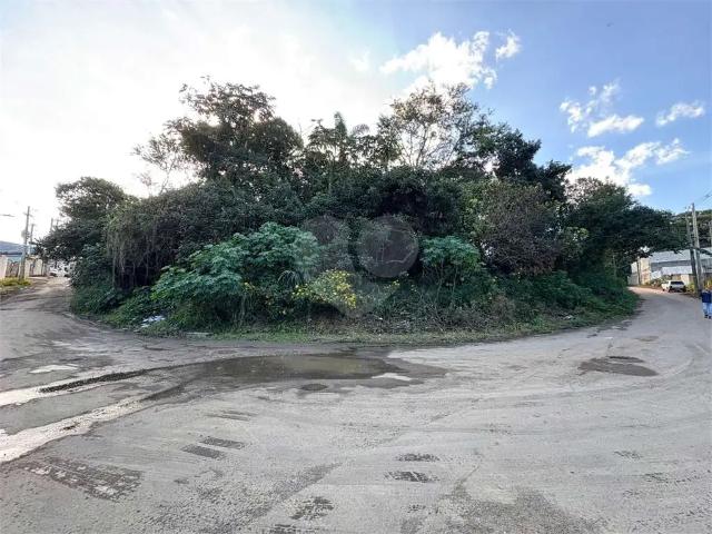 Terreno comercial para Venda em Itaquaquecetuba/SP Parque Novo Horizonte