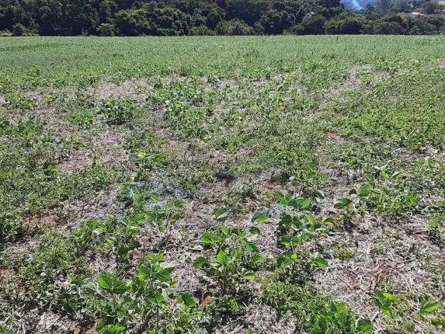 Terreno comercial para Venda em Itatiba/SP Sítio da Moenda