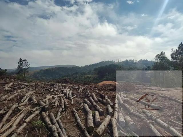 Terreno comercial para Venda em Itu/SP Apotribu