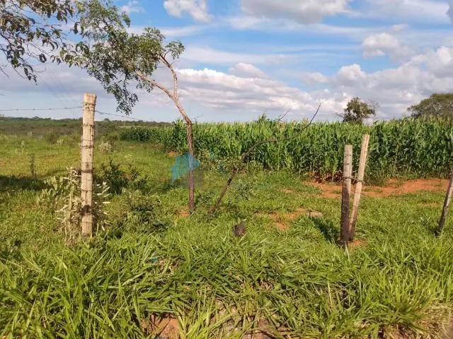 Terreno comercial para Venda em Igarapé/MG Novo Igarapé