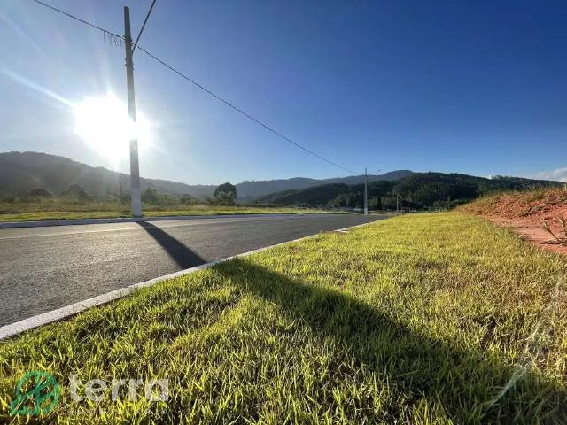 Terreno comercial para Venda em Indaial/SC Arapongas