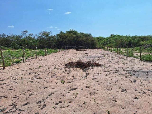 Terreno comercial para Venda em Jijoca de Jericoacoara/CE Zona Rural