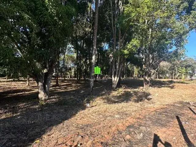 Terreno comercial para Venda em Lagoa Santa/MG Campinho de Baixo