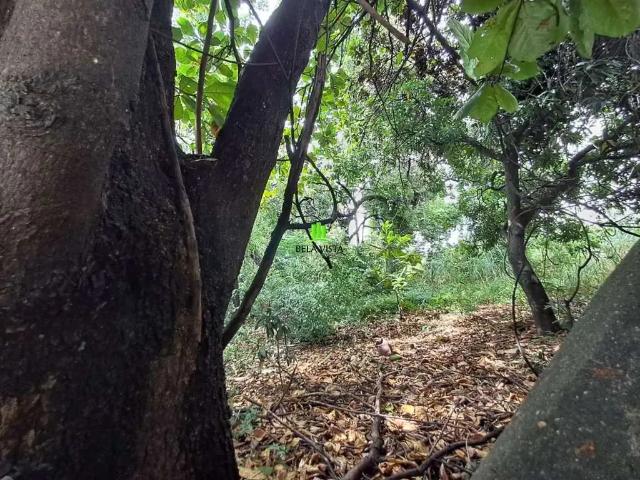 Terreno comercial para Venda em Lagoa Santa/MG Vila Pinto Coelho