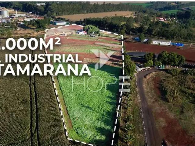 Terreno comercial para Venda em Londrina/PR Industrial