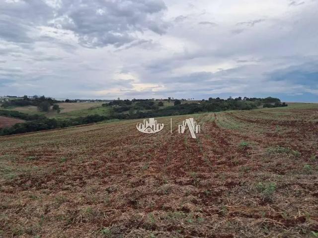 Terreno comercial para Venda em Londrina/PR Parque Industrial Buena Vista