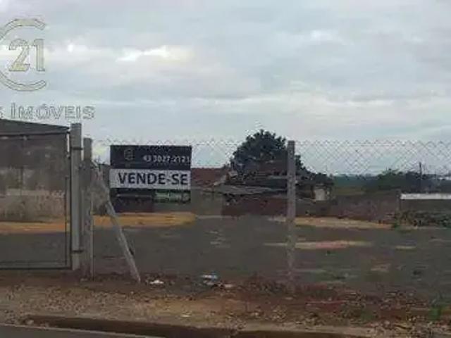 Terreno comercial para Venda em Londrina/PR Vila Santa Terezinha