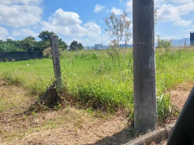 Terreno comercial para Venda em Palhoça/SC Guarda do Cubatão