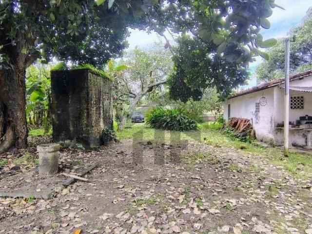 Terreno comercial para Venda em Paudalho/PE Centro