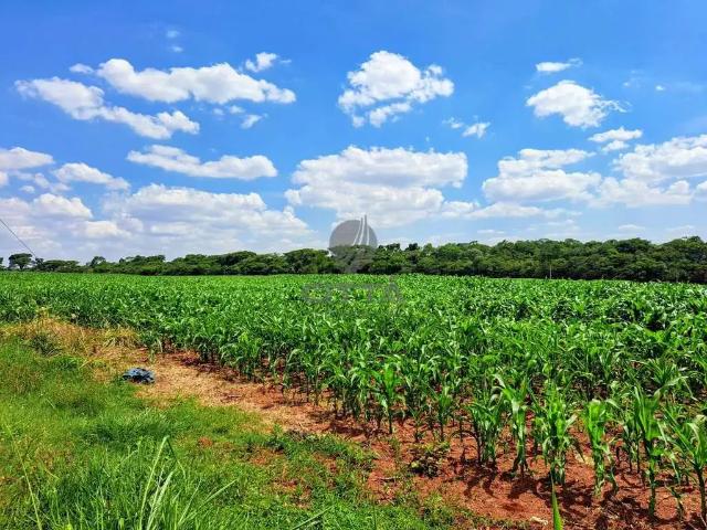 Terreno comercial para Venda em Paulínia/SP Betel