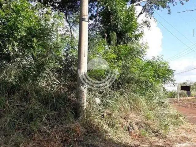 Terreno comercial para Venda em Paulínia/SP Jardim Ypê