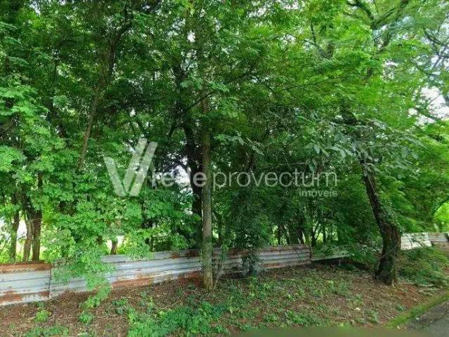 Terreno comercial para Venda em Paulínia/SP Nova Veneza