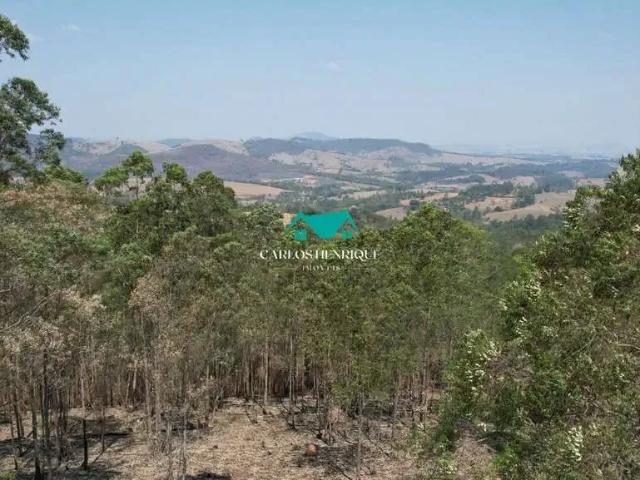 Terreno comercial para Venda em Pedra Bela/SP Centro