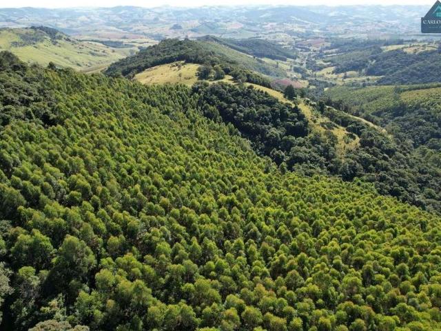 Terreno comercial para Venda em Pedra Bela/SP Centro