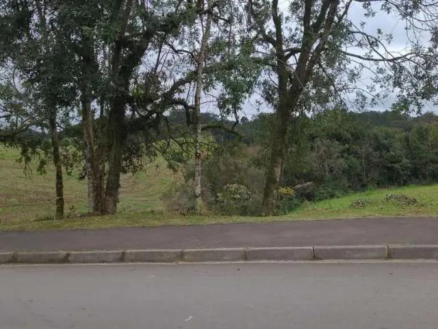 Terreno comercial para Venda em Piên/PR Trigolândia