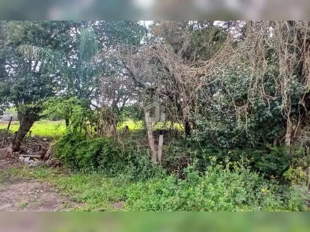 Terreno comercial para Venda em Pinhais/PR Estância Pinhais