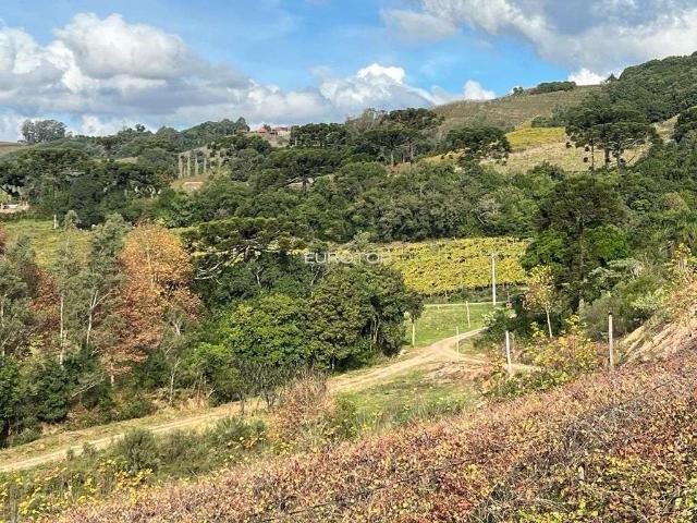 Terreno comercial para Venda em Pinto Bandeira/RS Zona Rural