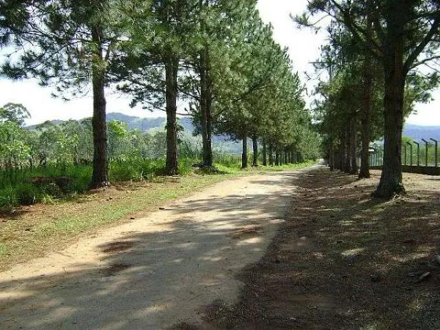 Terreno comercial para Venda em Piracaia/SP Canedos