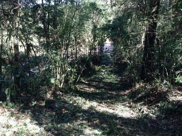 Terreno comercial para Venda em Piracaia/SP Centro