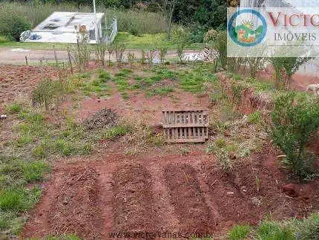 Terreno comercial para Venda em Piracaia/SP Jardim Monte Cristo