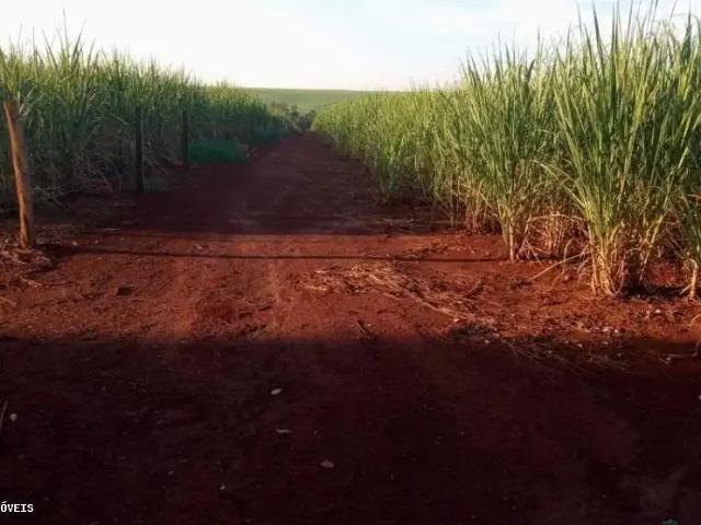 Terreno comercial para Venda em Piracicaba/SP Santa Rita