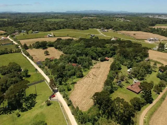 Terreno comercial para Venda em Piraquara/PR Jardim Primavera
