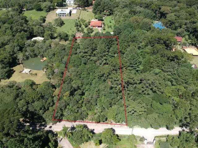 Terreno comercial para Venda em Piraquara/PR Planta Granjas Eldorado