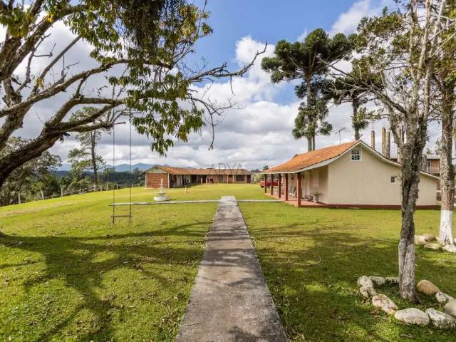 Terreno comercial para Venda em Piraquara/PR Planta Laranjeiras 6 Quartos