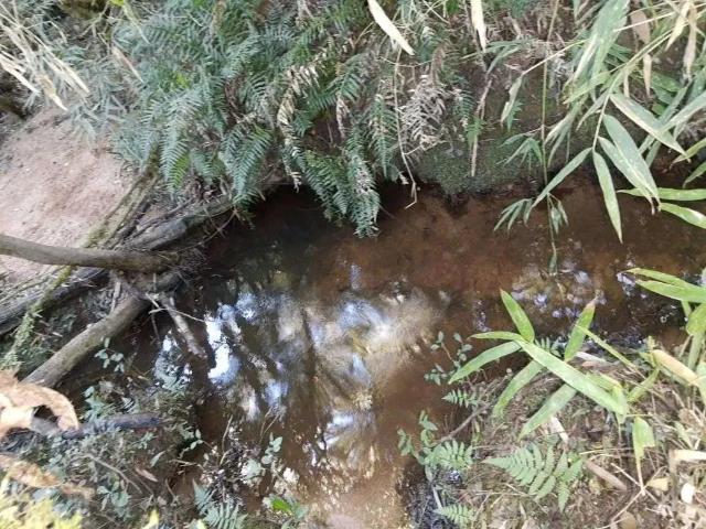 Terreno comercial para Venda em Piraquara/PR Roça Nova